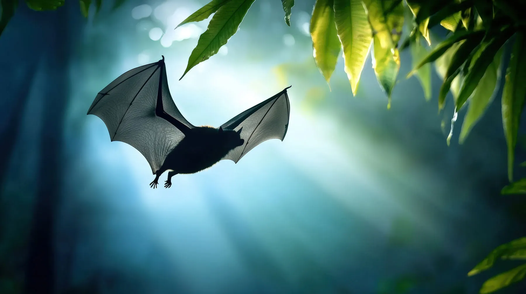 Performant Bat Data Analysis with AWS Batch & AWS Fargate | Lambert Labs